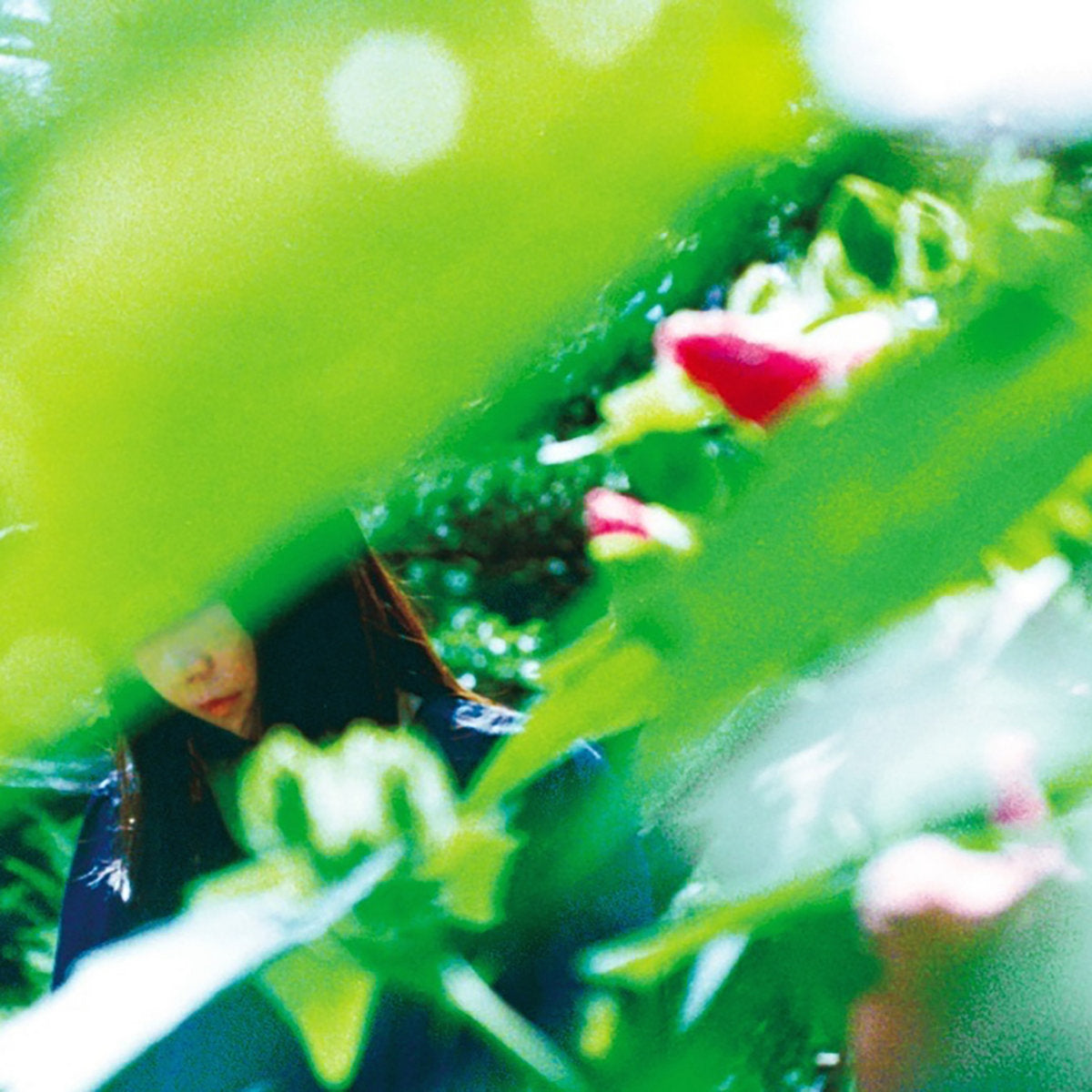 Minuano - Spring Lovers