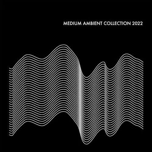 Various - Medium Ambient Collection 2022 Black